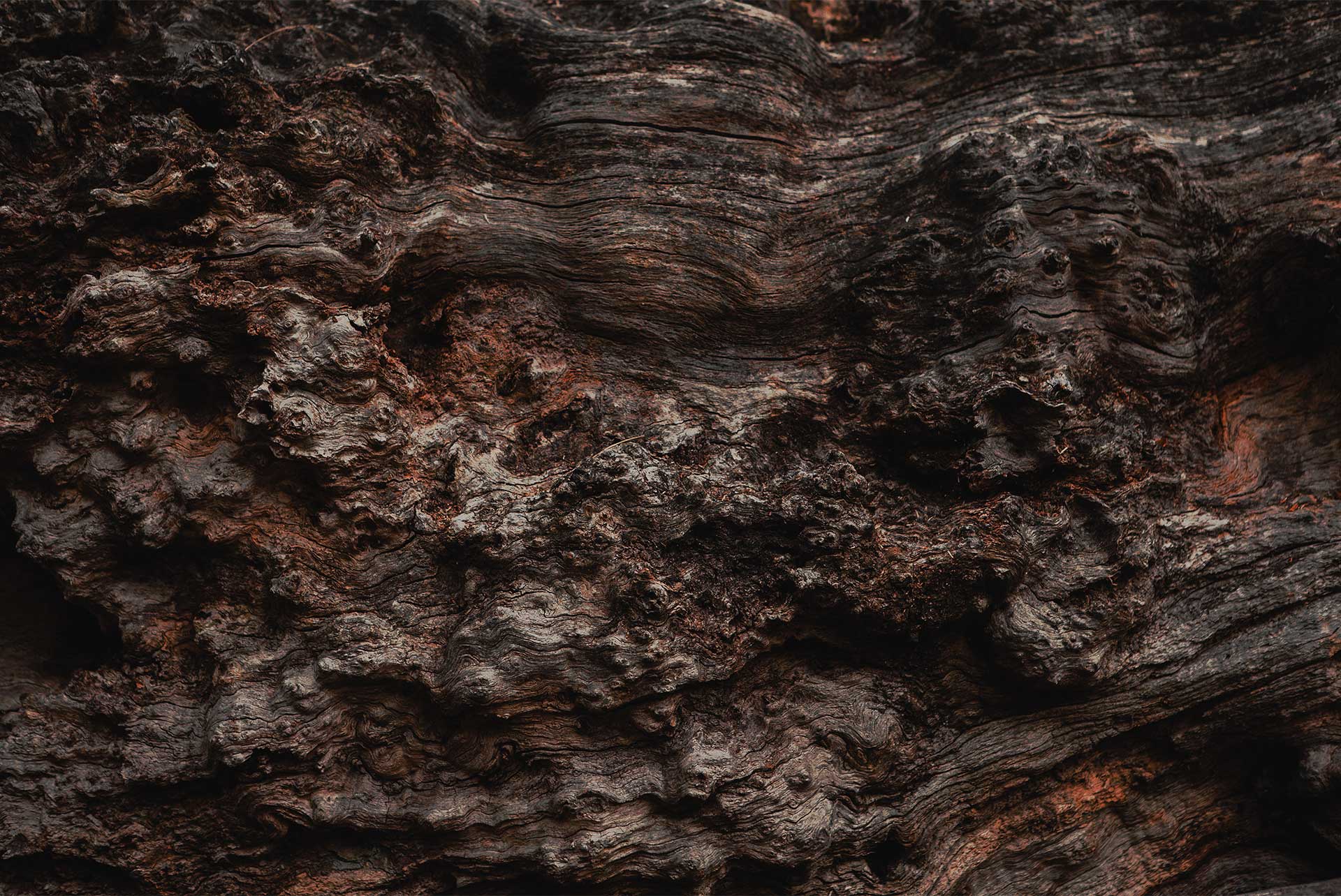 Leave a Reply Cancel reply